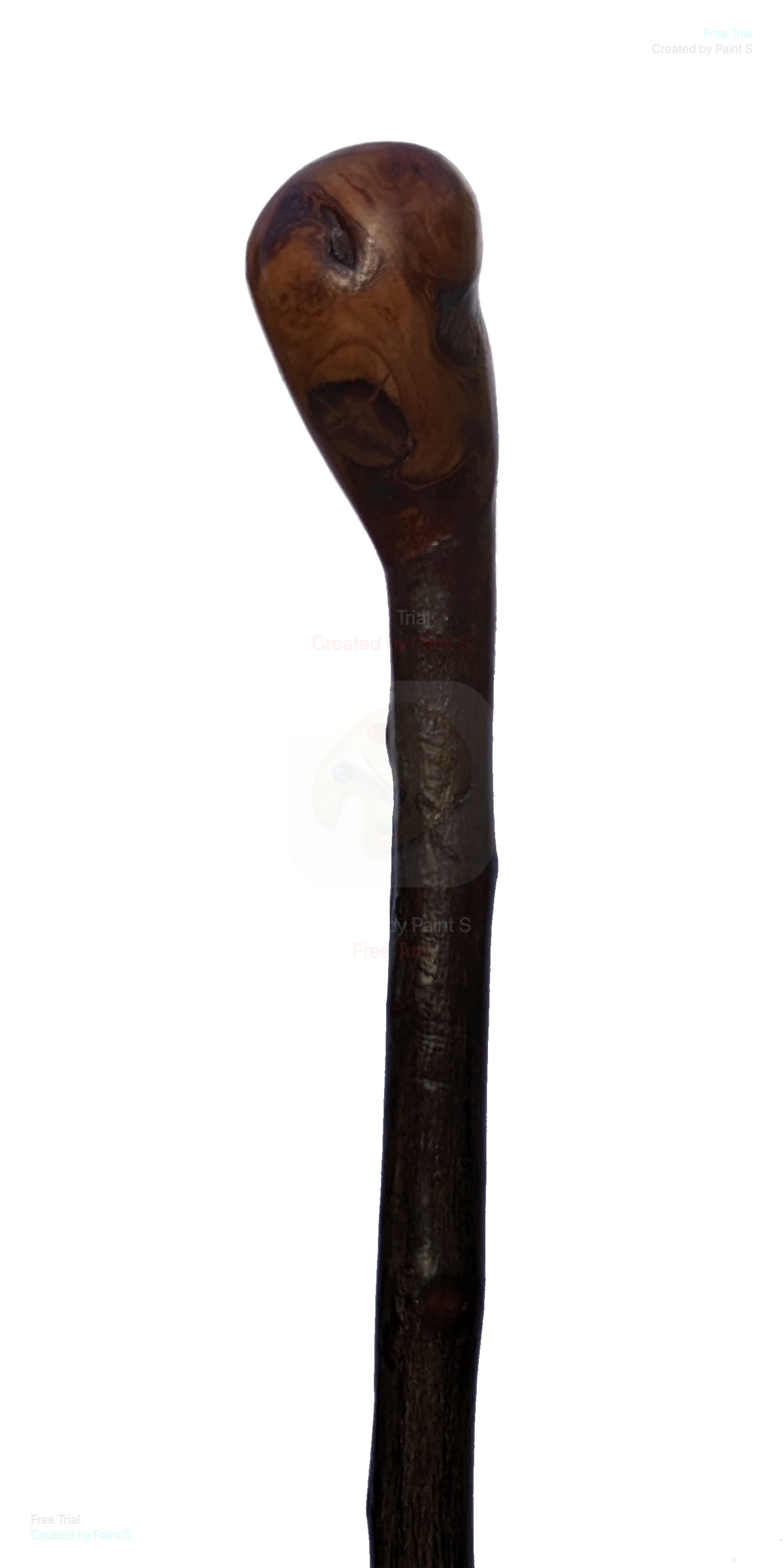 Hawthorn Stick with Burr Handle – Emilyhannah Ltd