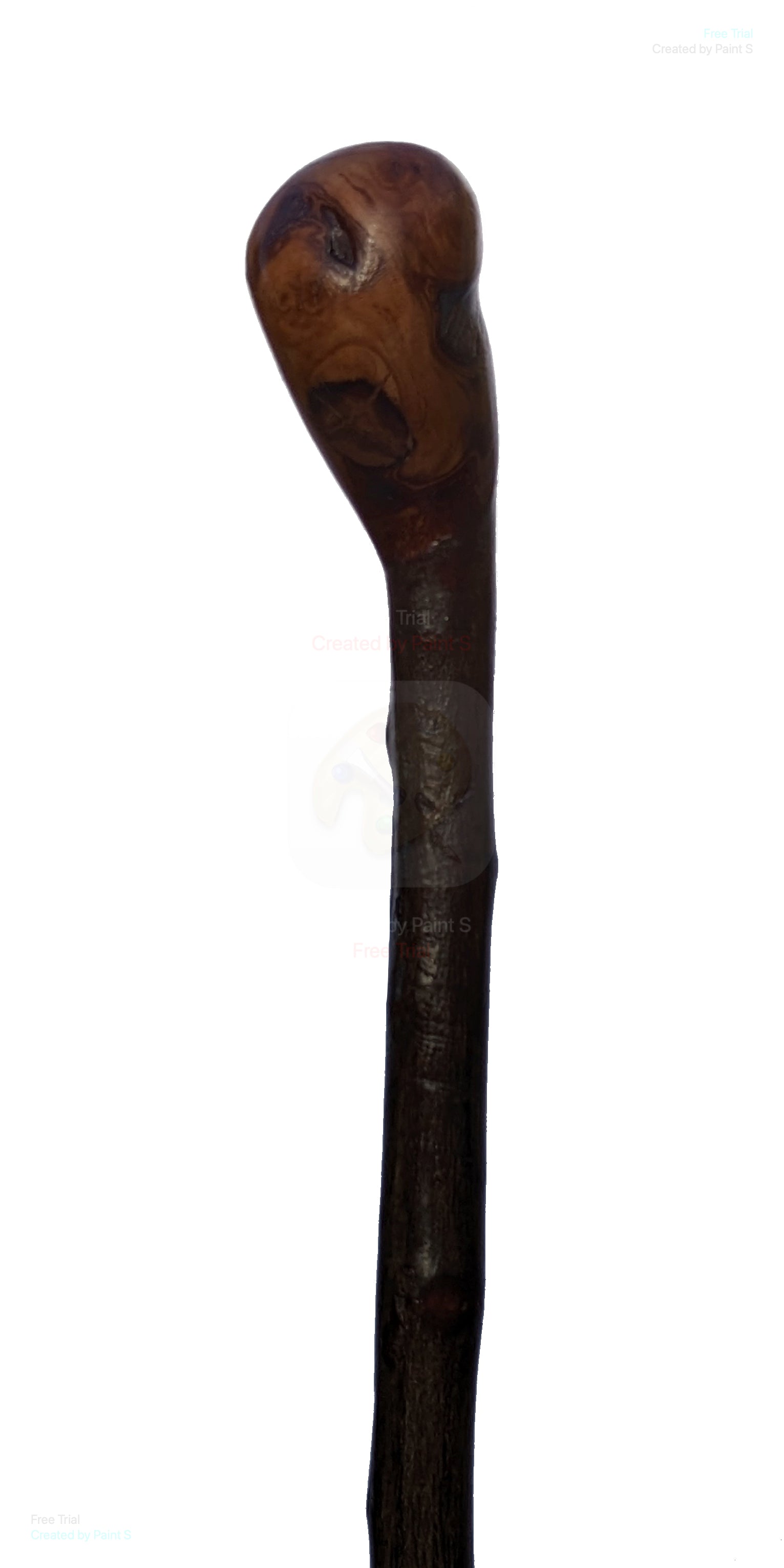 Hawthorn Stick with Burr Handle – Emilyhannah Ltd